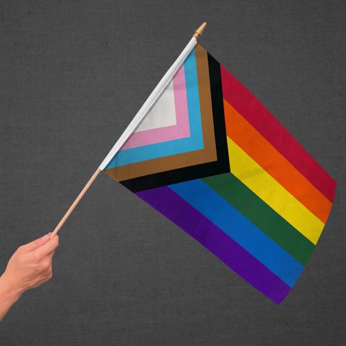 12-PACK PROGRESS PRIDE STICK FLAGS 4 X 6 IN – BlockParty Weho